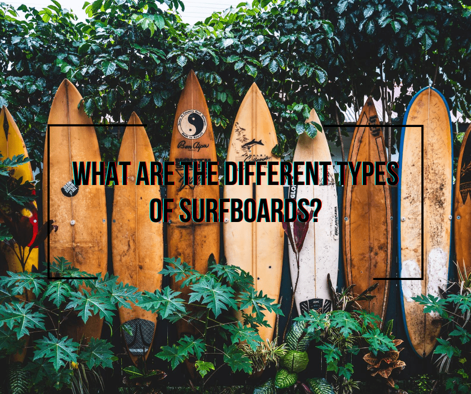 Different Types Of Surfboards - Wetsuit Wearhouse Blog