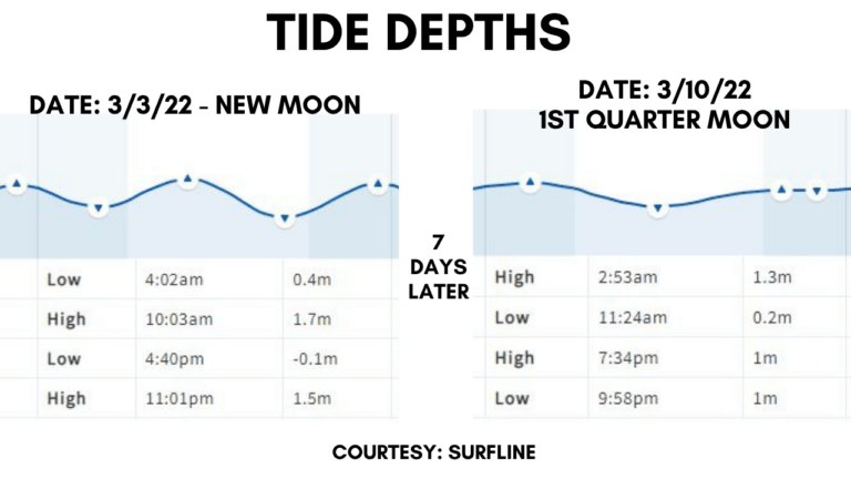 The Difference Between Waves and Tides - Wetsuit Wearhouse Blog