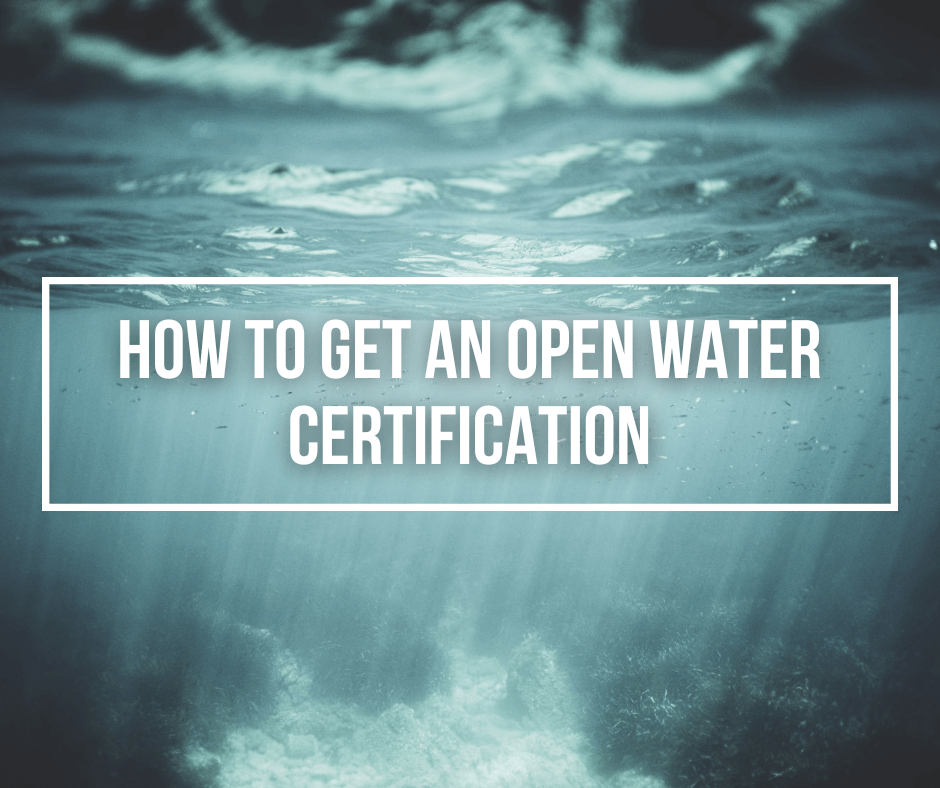 How To Get Open Water Certification - Wetsuit Wearhouse Blog
