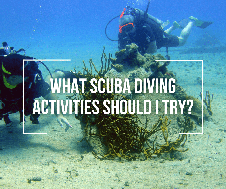 What SCUBA Diving Activities Should I Try? - Wetsuit Wearhouse Blog
