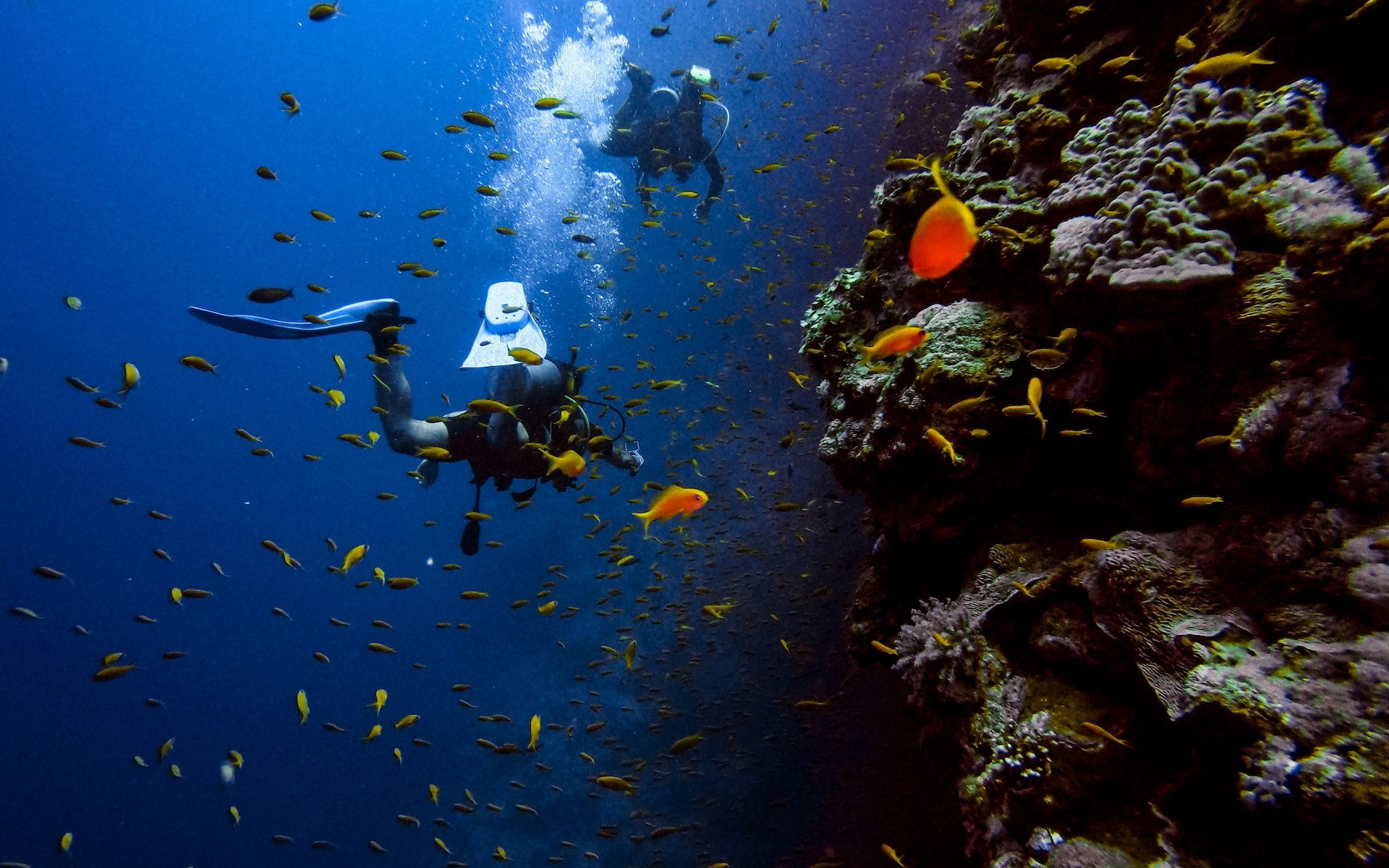 How Long Can You Stay Underwater SCUBA Diving? - Wetsuit Wearhouse Blog