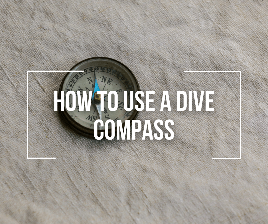 How To Use A Dive Compass - Wetsuit Wearhouse Blog