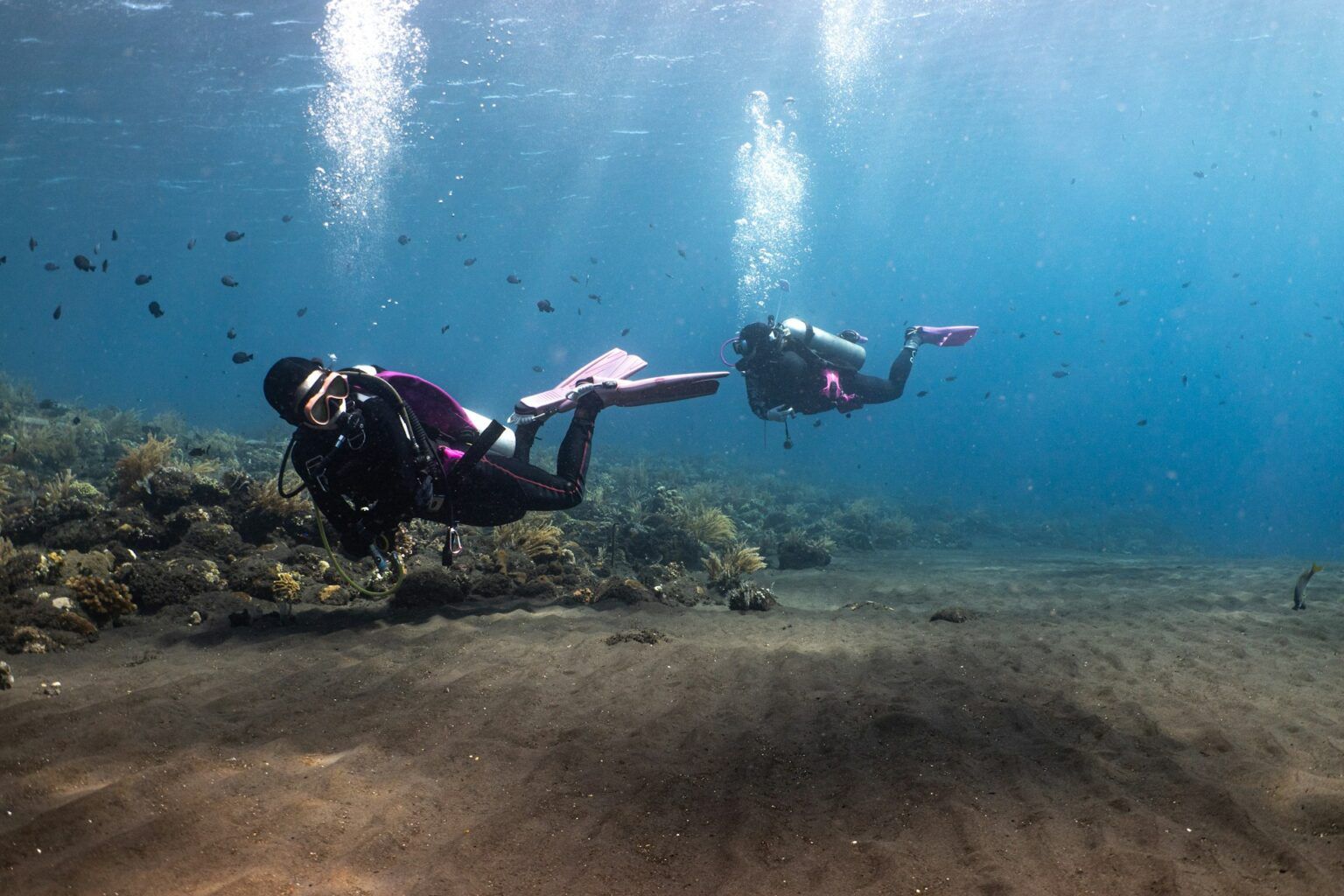 What Not To Do Before & After SCUBA Diving - Wetsuit Wearhouse Blog