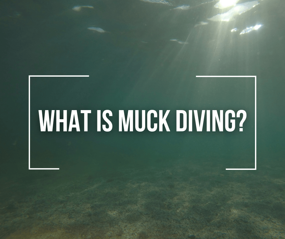 What is Muck Diving? - Wetsuit Wearhouse Blog